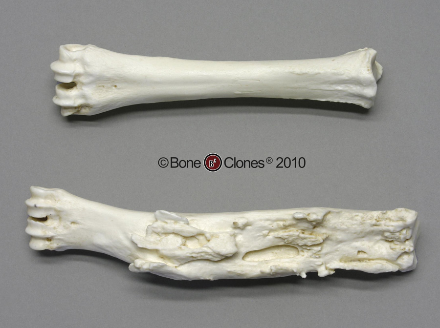 301 Moved Permanently