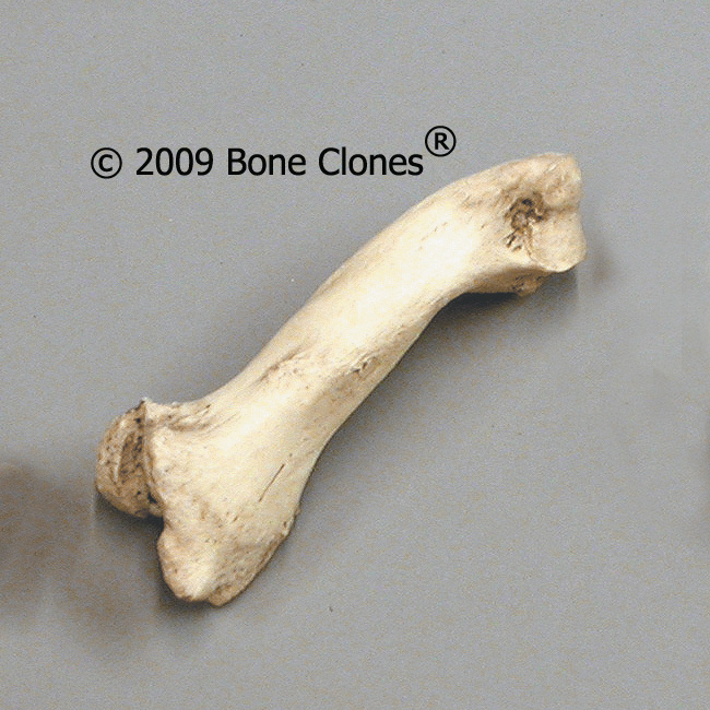 301 Moved Permanently