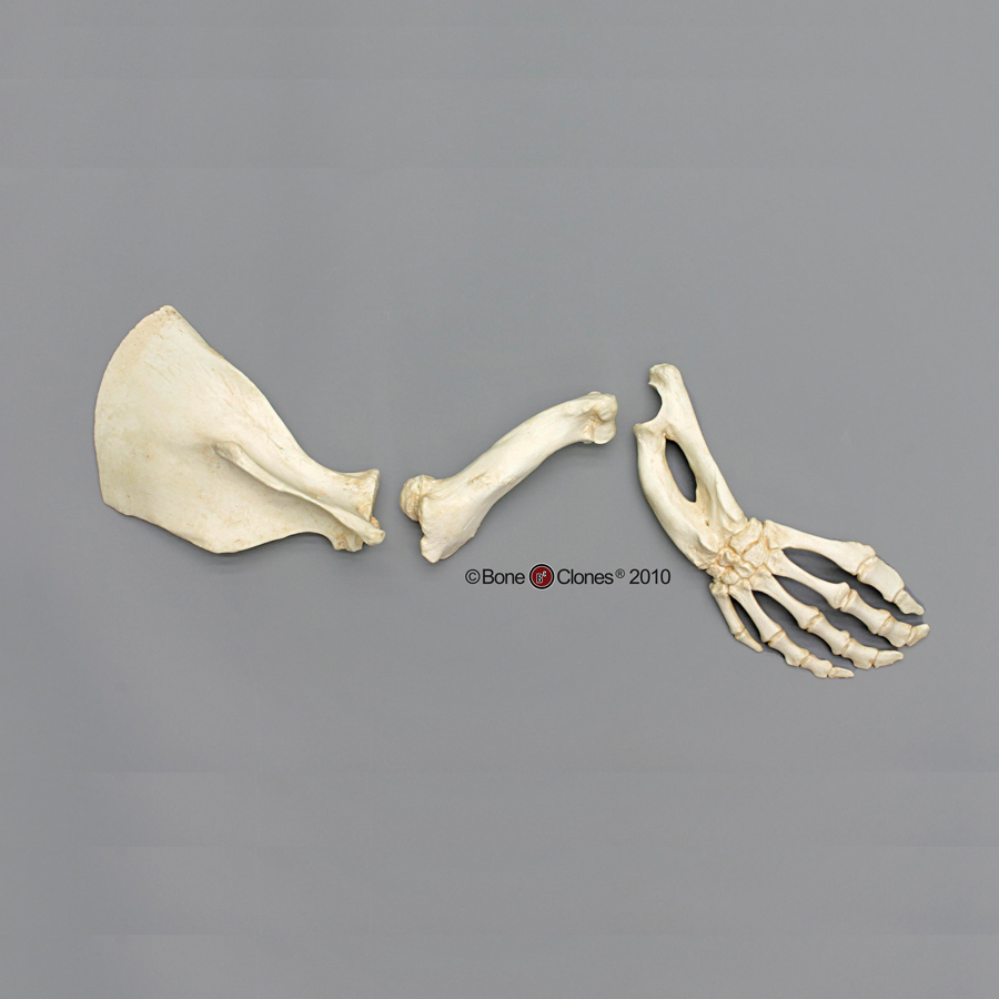 301 Moved Permanently