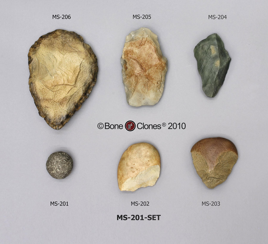 Oldowan Spheroid Tool - Bone Clones, Inc. - Osteological Reproductions