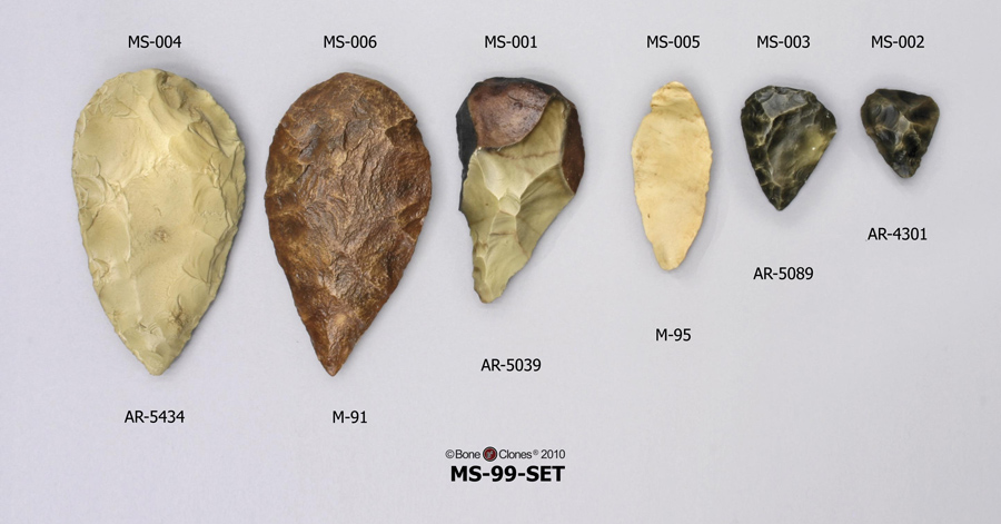 Fossil Hominid Tools set of 6 - Bone Clones, Inc. - Osteological ...